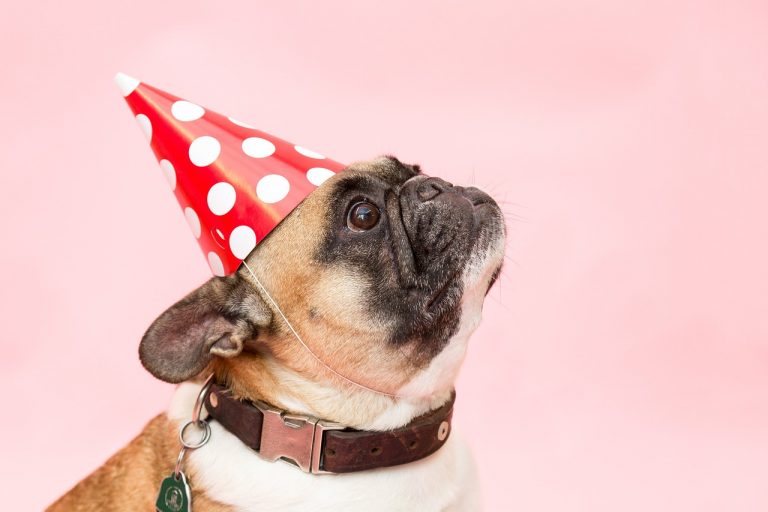 15 Best Text Message Party Invitations Samples To Help Save You Time