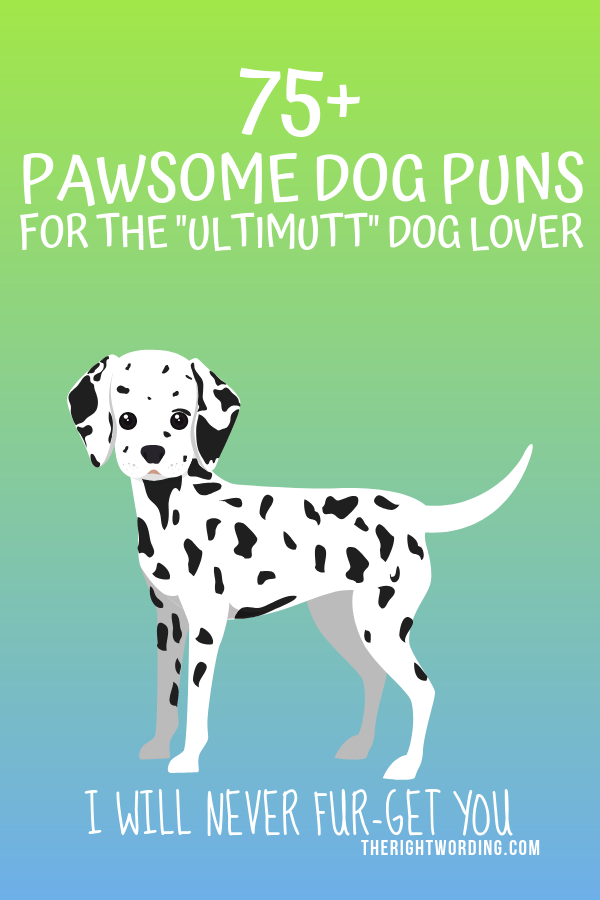 75 Pawsome Dog Puns For The Ultimutt Dog Lover