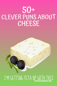 50+ Clever Cheese Puns That Don’t Get Any Cheddar Than This