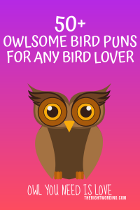 50+ Owlsome Bird Puns To Emu-se Your Friends
